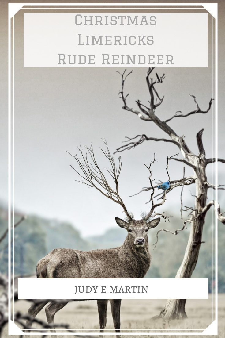 Christmas Limericks. Rude Reindeer – Rhyme and No Reason!